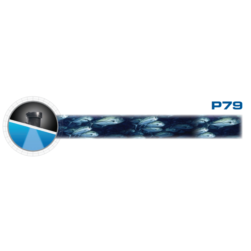 Airmar P79 50/200KHZ In-Hull Αισθητήρας